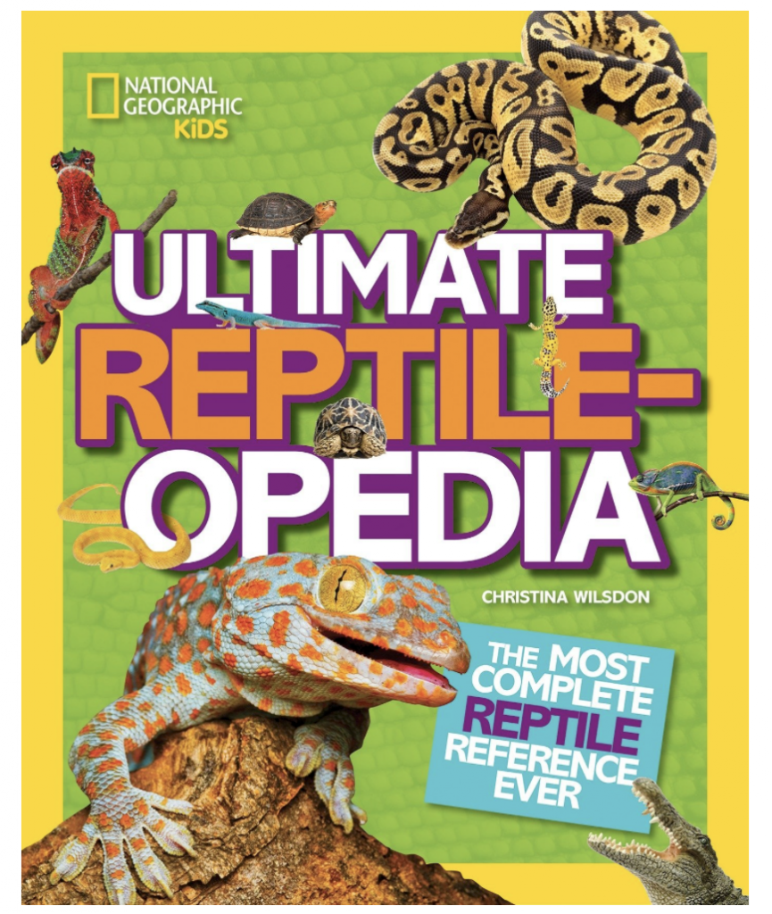 Free Reptiles Worksheets Kids Love - With Printables